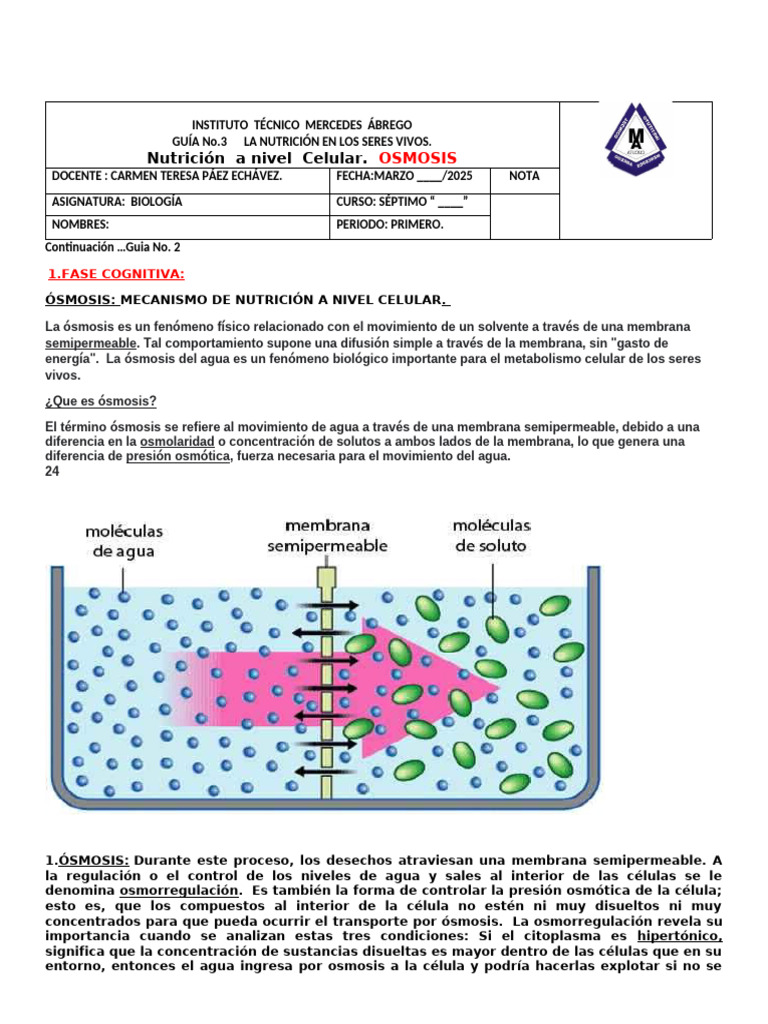 OSMOSIS GUIA No. 3 Sã©ptimo | PDF | Ósmosis | Bioquímica