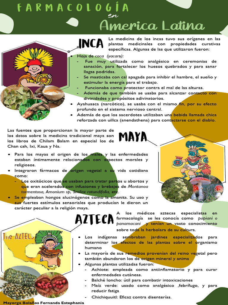 Plantas Medicinales en la Medicina Inca | PDF