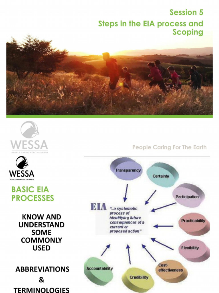 Steps in The EIA Process and Scoping | PDF
