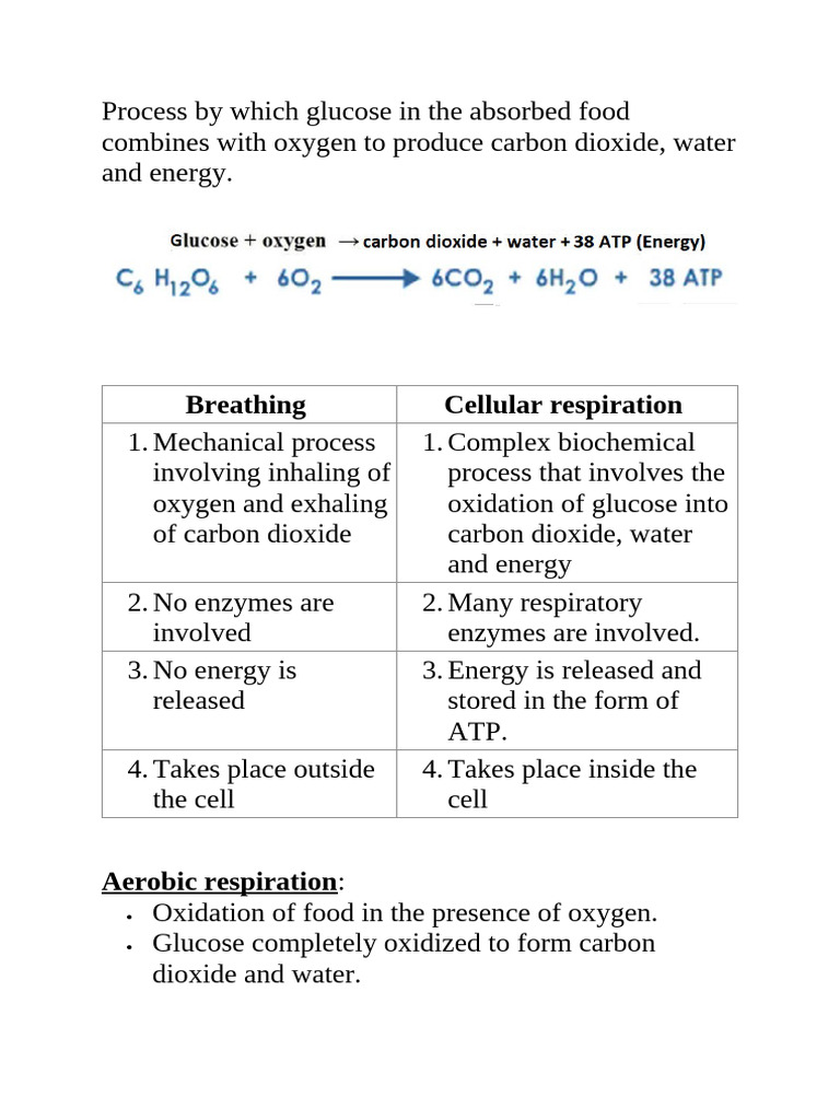 Respiration: Aerobic vs. Anaerobic Processes | PDF | Cellular ...