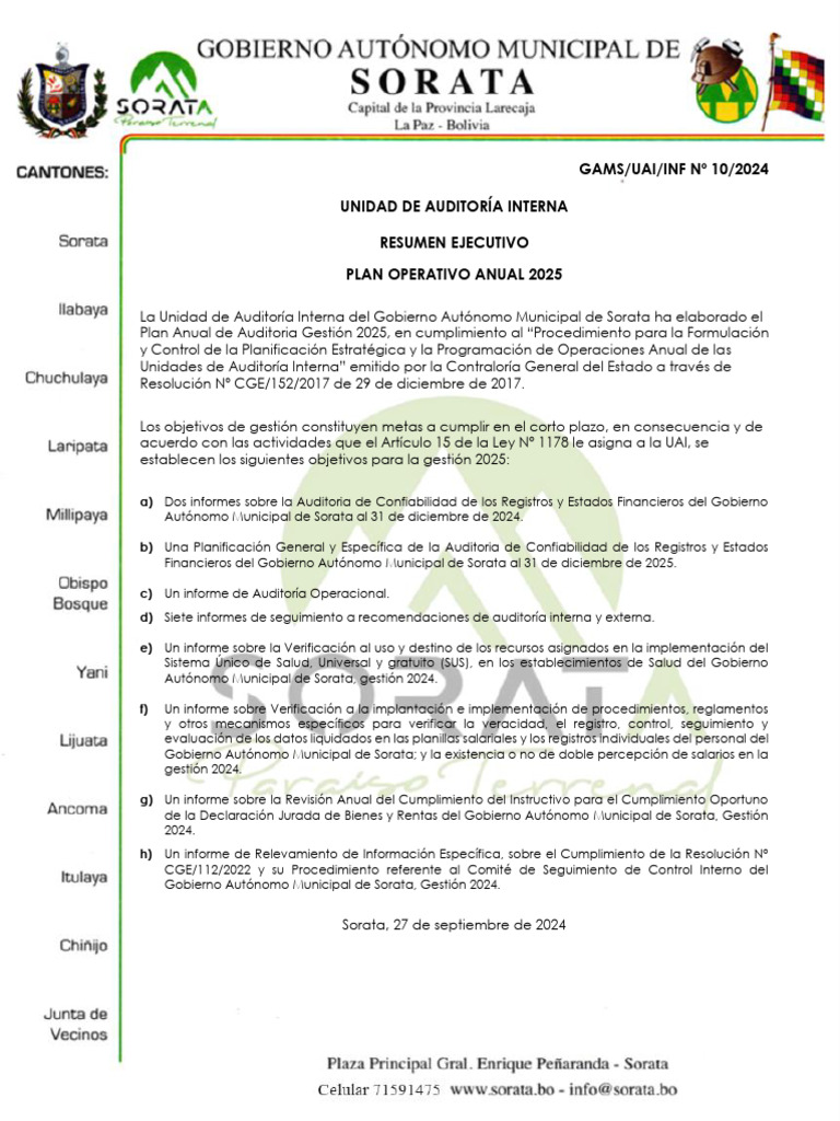 Poa Uai 2025 1 | PDF | Auditoría