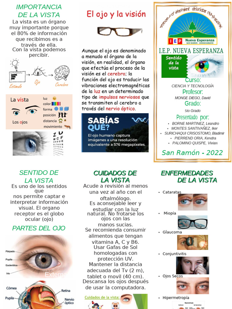 Triptico La Vista | PDF | Cara | Órganos sensoriales