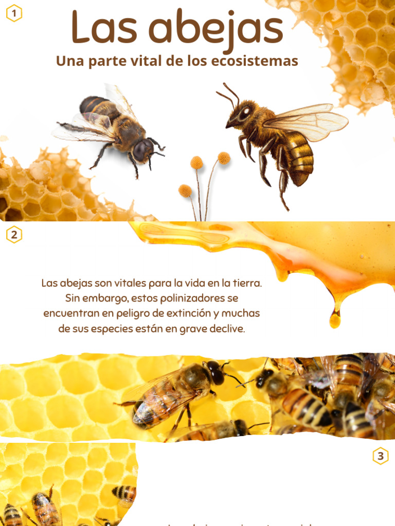 Presentación Las Abejas Realista Amarillo - 20241013 - 155156 - 0000 ...