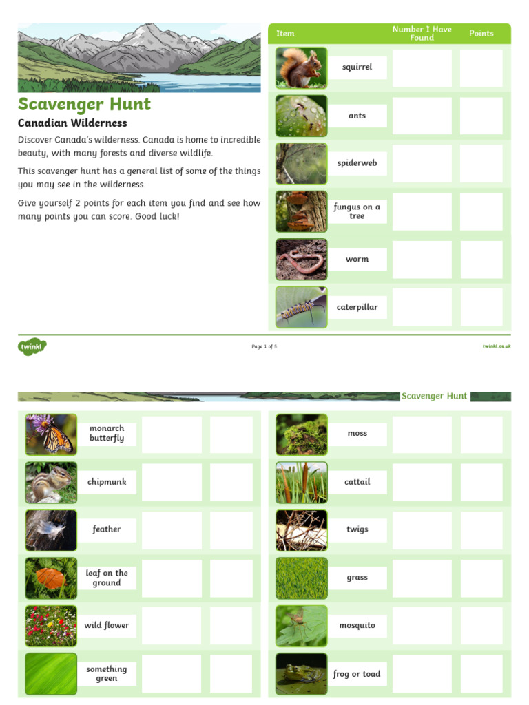 Scavenger Hunt Nature Walk | PDF | Trees | Zoology