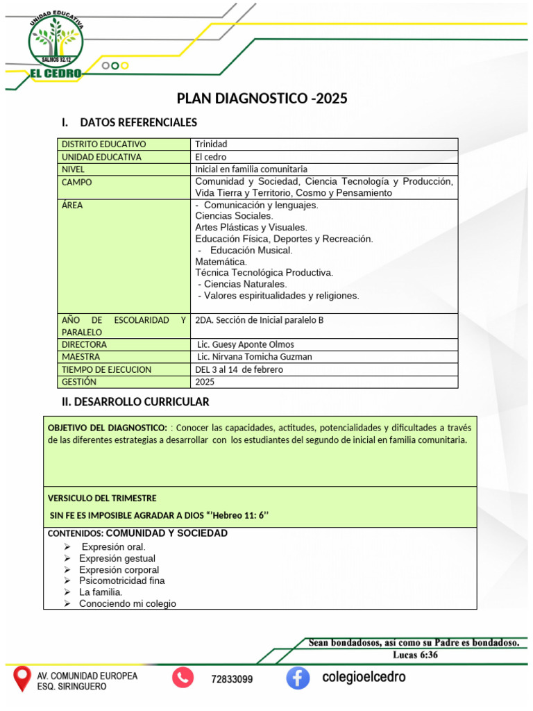 Diagnostico Cedro 2025 Nirvana | PDF | Creatividad