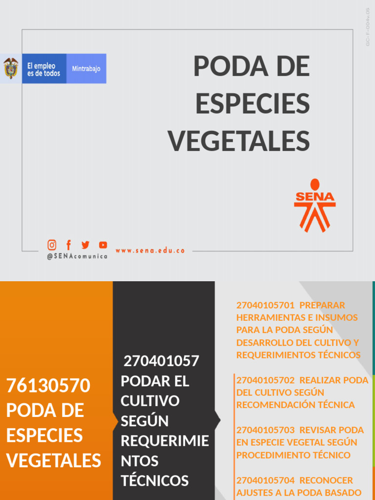Presentacion Poda de Especies Vegetales | PDF | Arboles | Entorno natural
