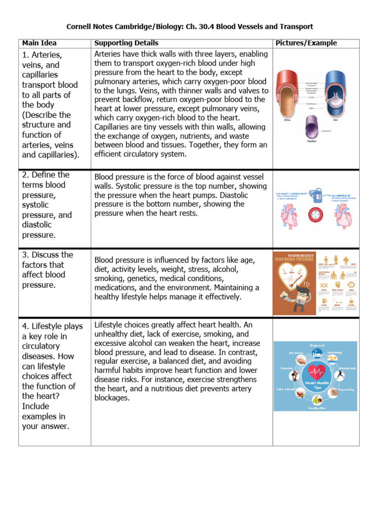 Factors That Affect The Flow of Blood PDF | PDF