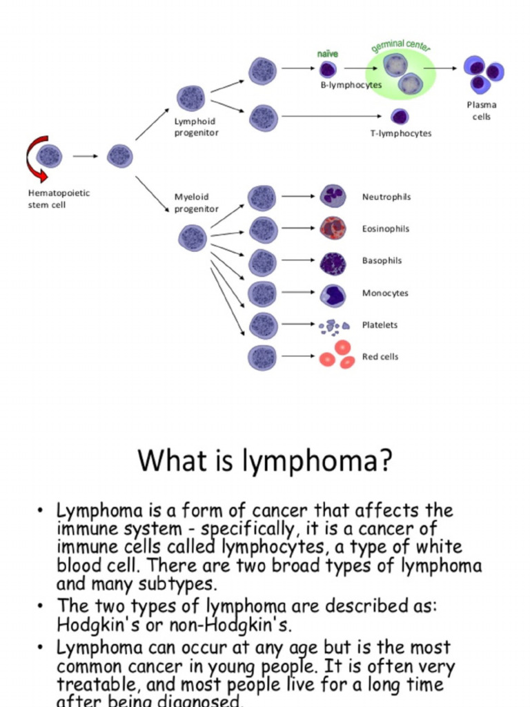 Pathology Lec 12 Dr Afrah | PDF