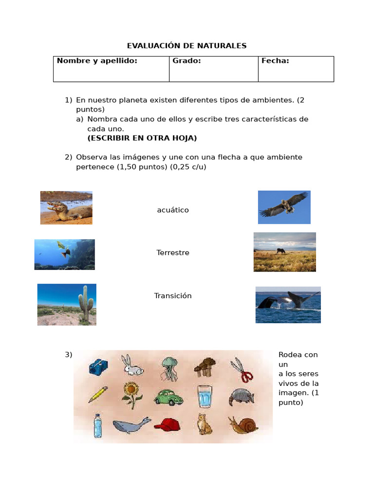 Evaluacion Naturales 5 Grado Diag | PDF