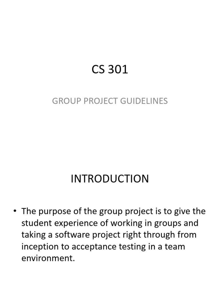 CS 301 Group Project Guidelines | PDF