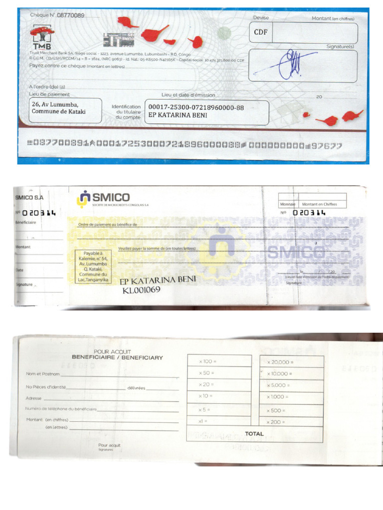 CHEQUE | PDF