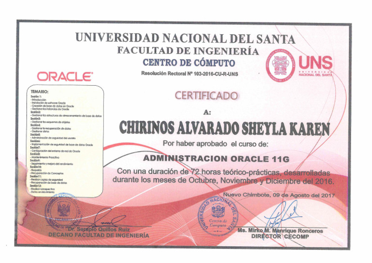 Curso - Administracion - Oracle 11G | PDF