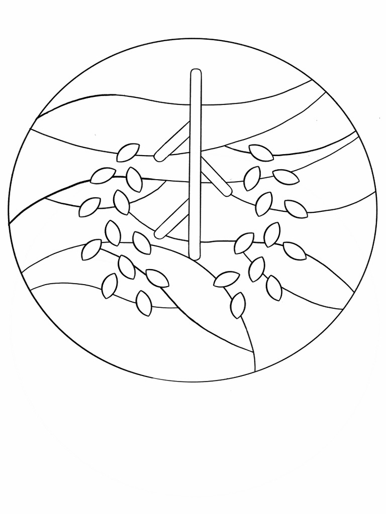 Ilustración para vitral | PDF