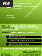Aula 02 - Organização Estrutural Das Plantas | PDF | Raiz | Célula ...