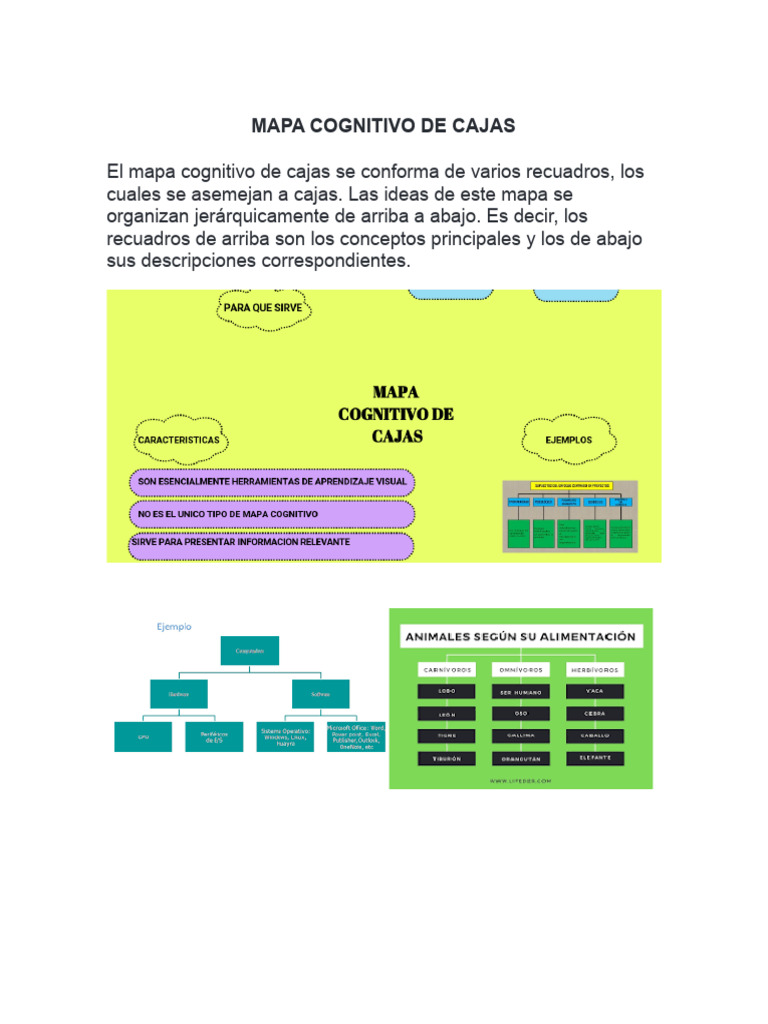 Mapa Cognitivo de Cajas | PDF
