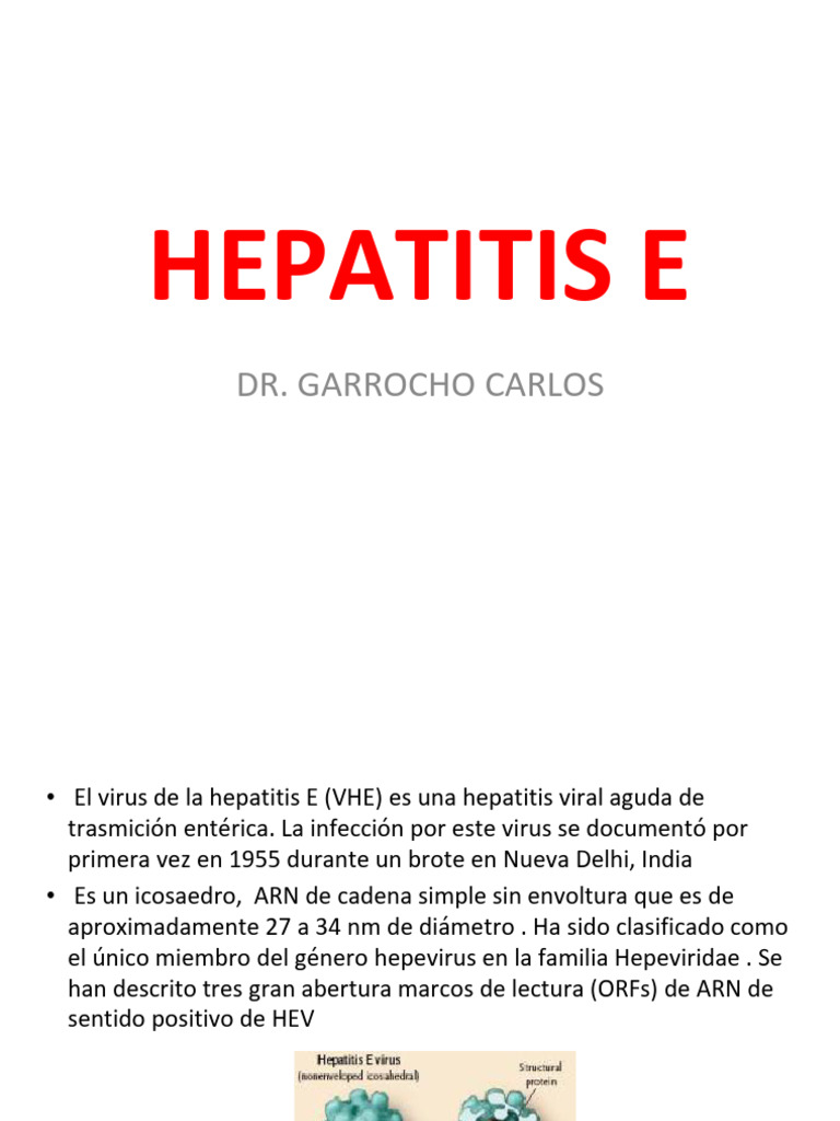 Hepatitis E: Virus, Epidemiología y Diagnóstico | PDF | Hepatitis | Virus