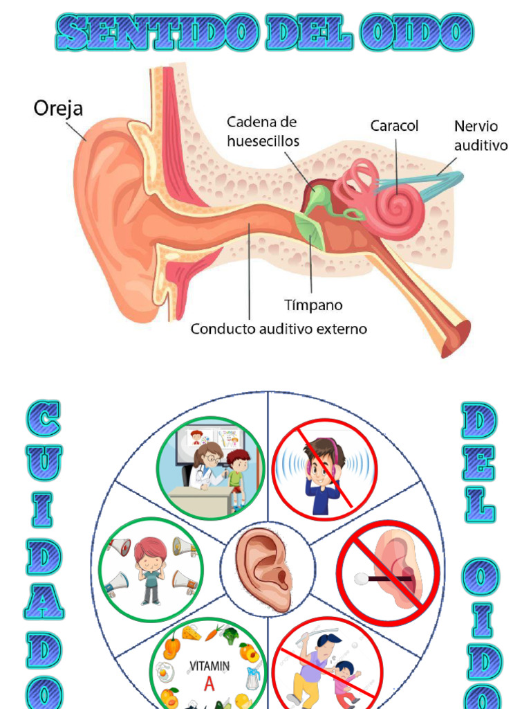 Cuidado Del Oido | PDF