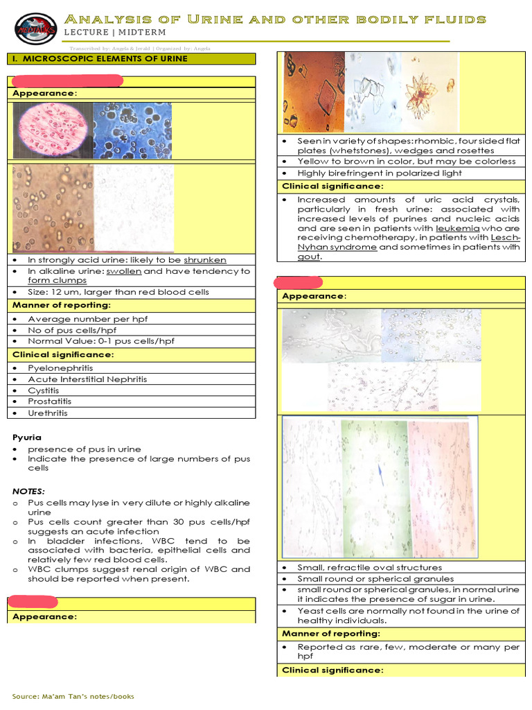 Updated Microscopic Elements of Urine Aubf Trans | PDF | Medical Specialties