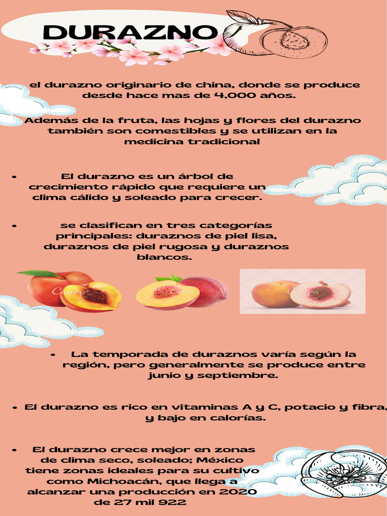 Azul Líneas Cambio Climático Medioambiente Infografía PDF | PDF