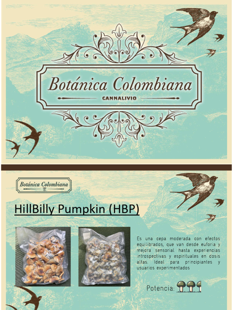 Presentación micros macros Botánica Colombiana SAS 2024 1 | PDF