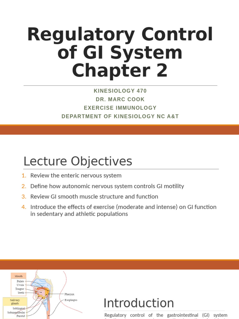 KINS 470 Regulation of GI System | PDF | Stomach | Digestion