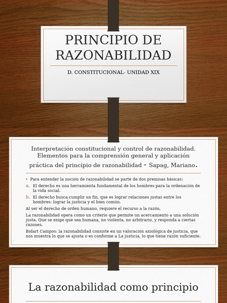 Principio de Razonabilidad | PDF | Justicia | Crimen y violencia