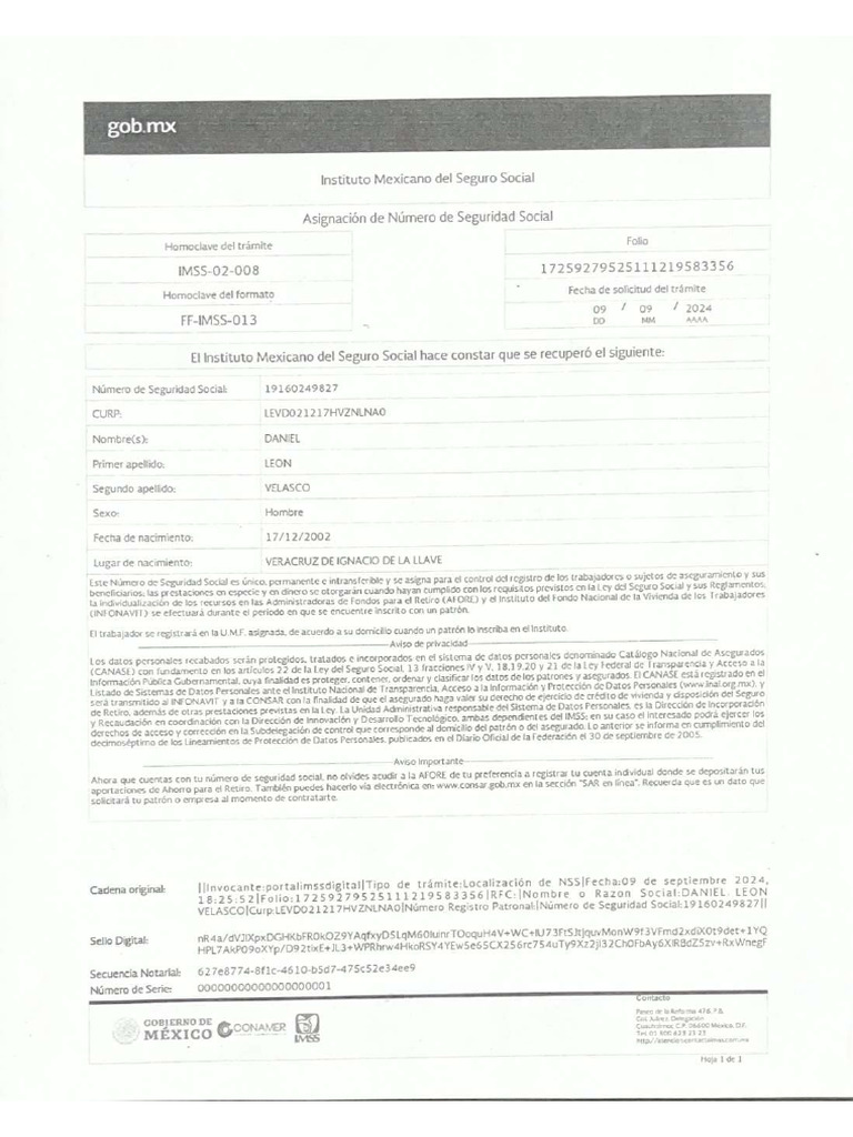 IMSS | PDF