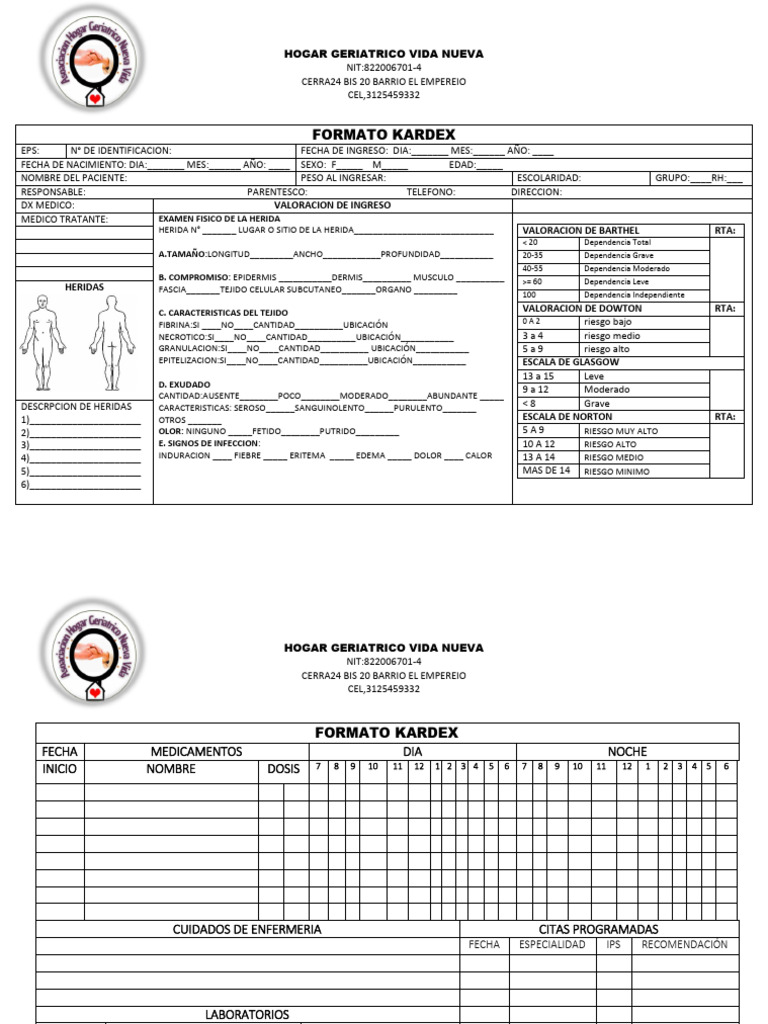 FORMATO KARDEX HOGAR | PDF | Especialidades Medicas | Enfermedades y trastornos