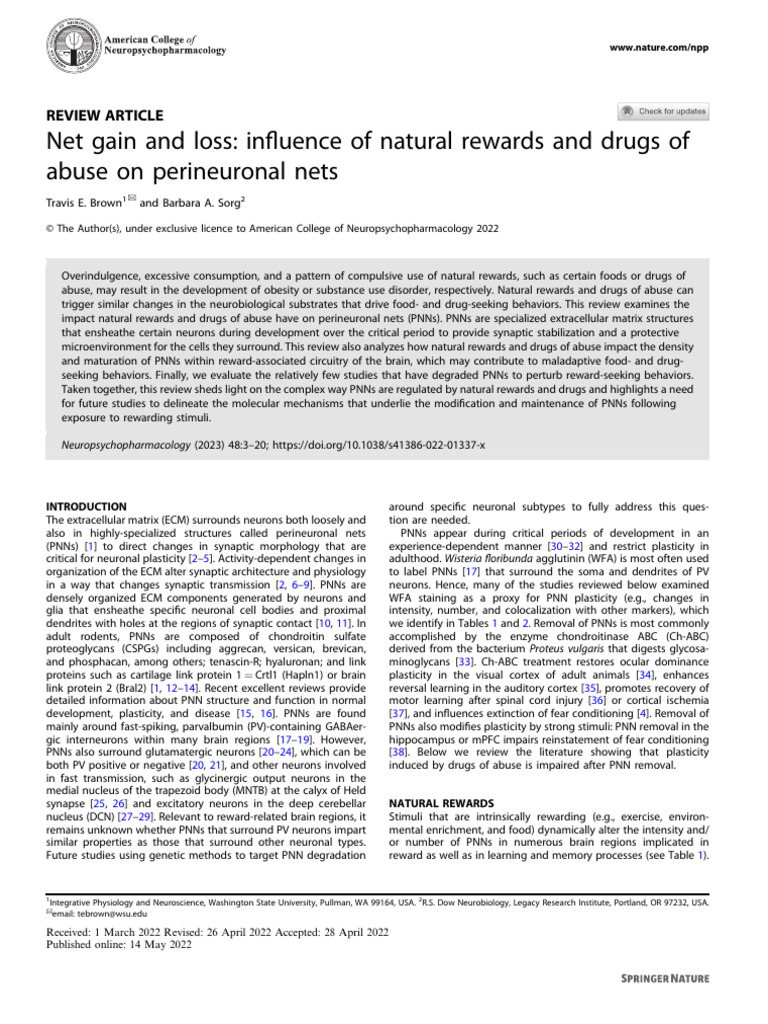 Net Gain and Loss: in Uence of Natural Rewards and Drugs of Abuse On ...