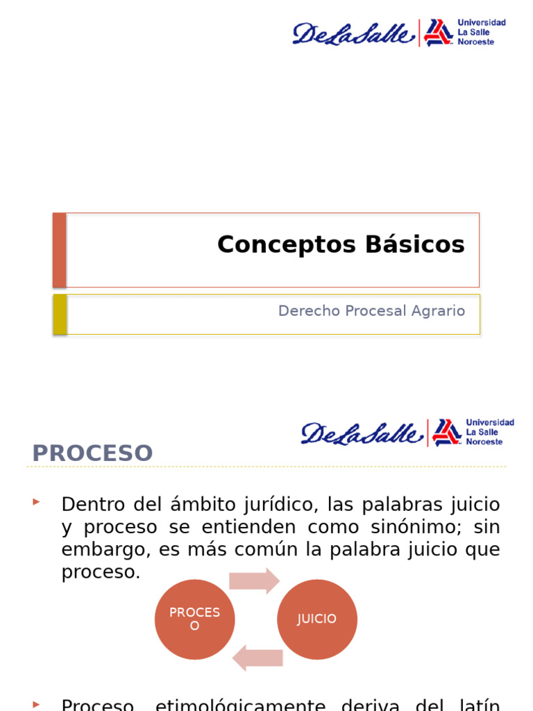 4. Agrario Conceptos Básicos y Definciones (1) | PDF | Ley procesal | Jurisdicción