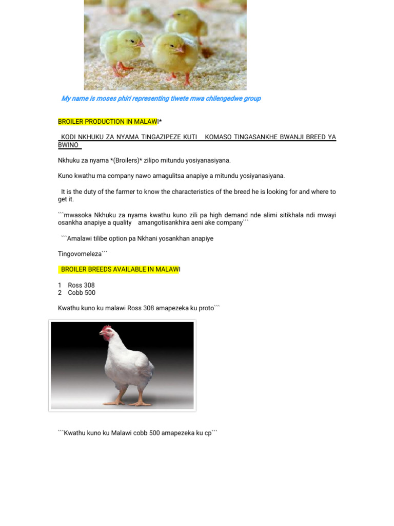 Broiler Farming Essentials in Malawi | PDF