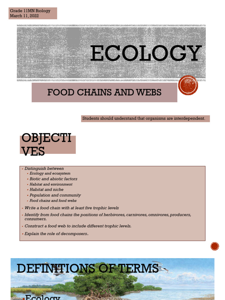 Food Chains and Webs | PDF
