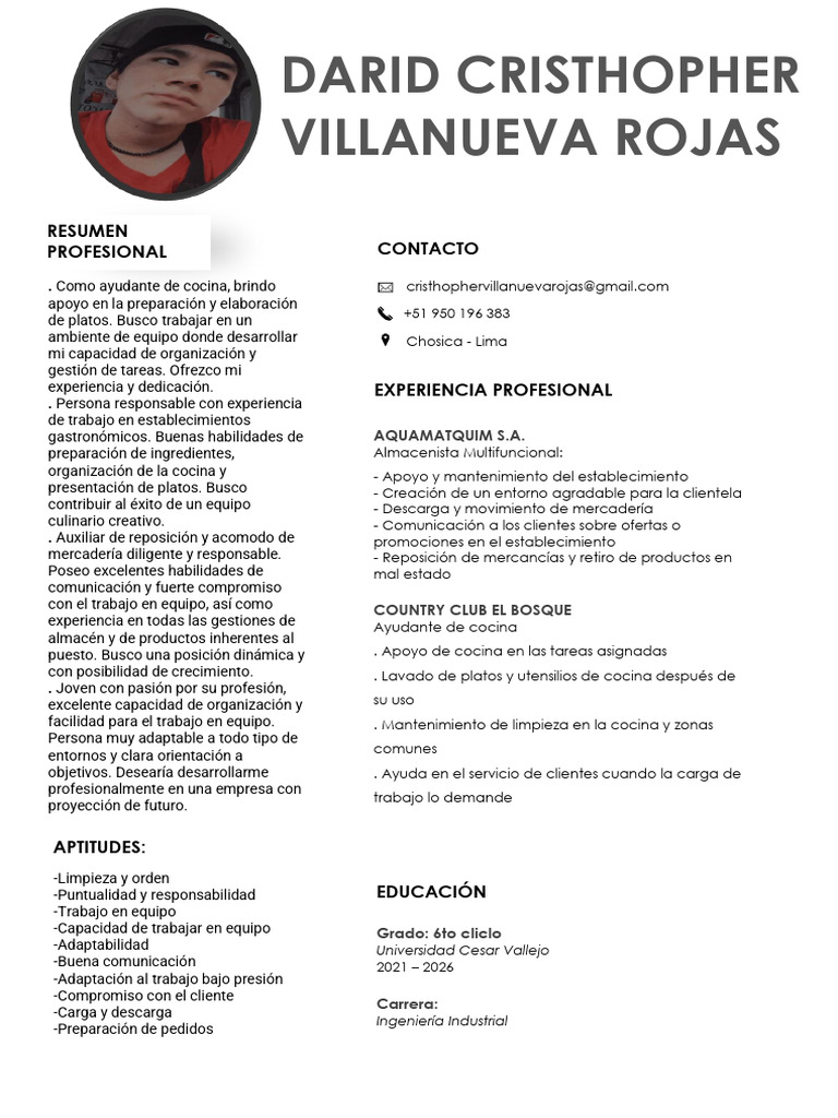 Darid Curriculum Vitae | PDF