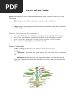 Amoeba Sisters_ Plants-Diversity, Structure & Adaptations Video | PDF ...