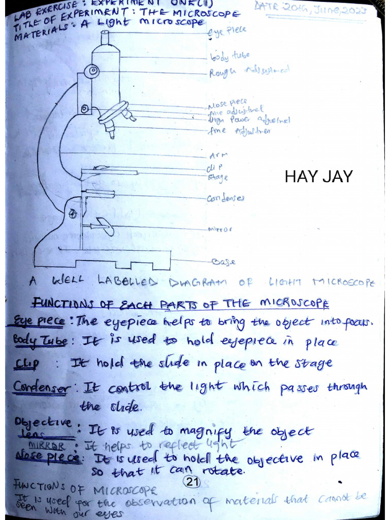 Bio 101 Animal Practical Aspect | PDF