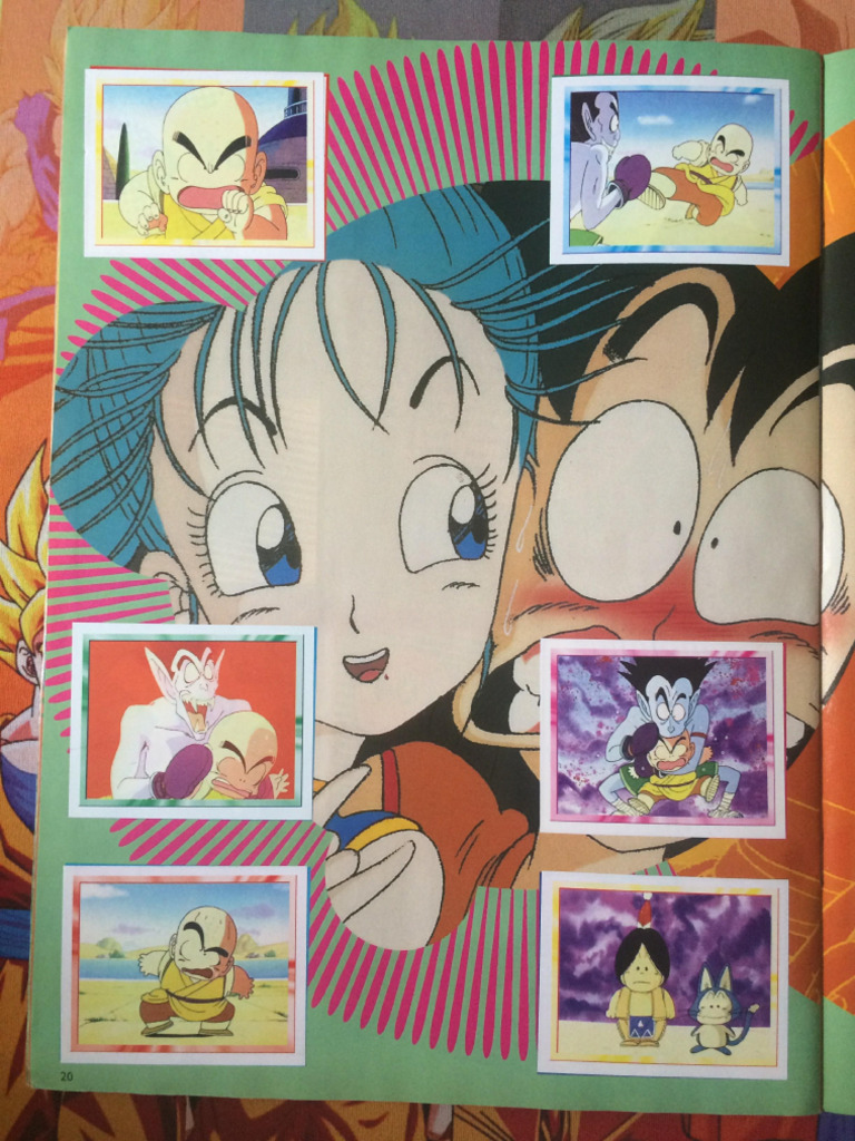 Fábrica de Formatos PicPDF 22 | PDF