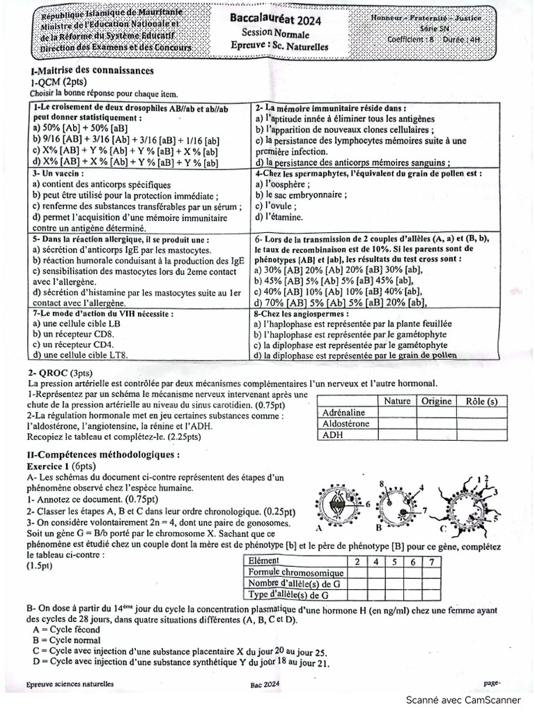 Bac2024 SN Correction | PDF