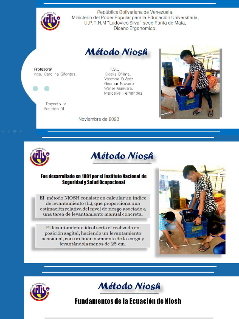 Presentación Metodo Niosh Fruteria | PDF