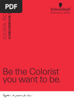 Schwarzkopf Conversion Chart | PDF