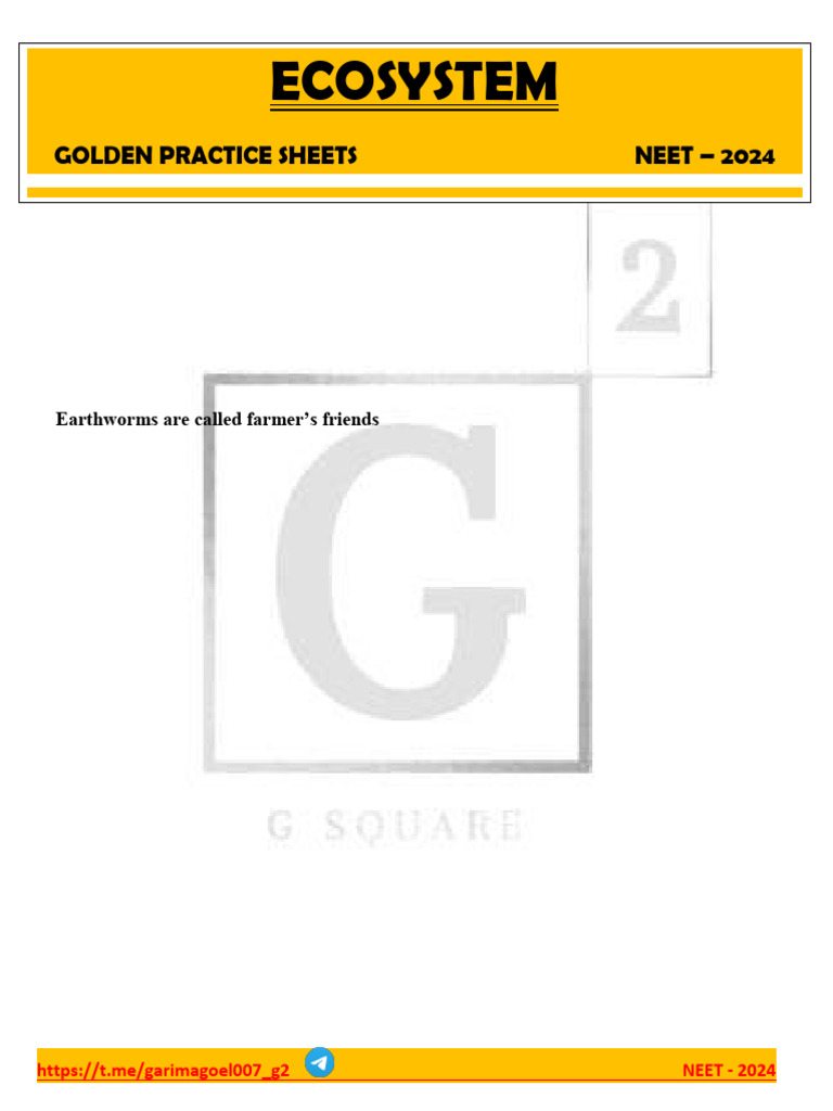 Gold DPP Of Ecosystem by Garima mam | PDF | Food Web | Ecosystem