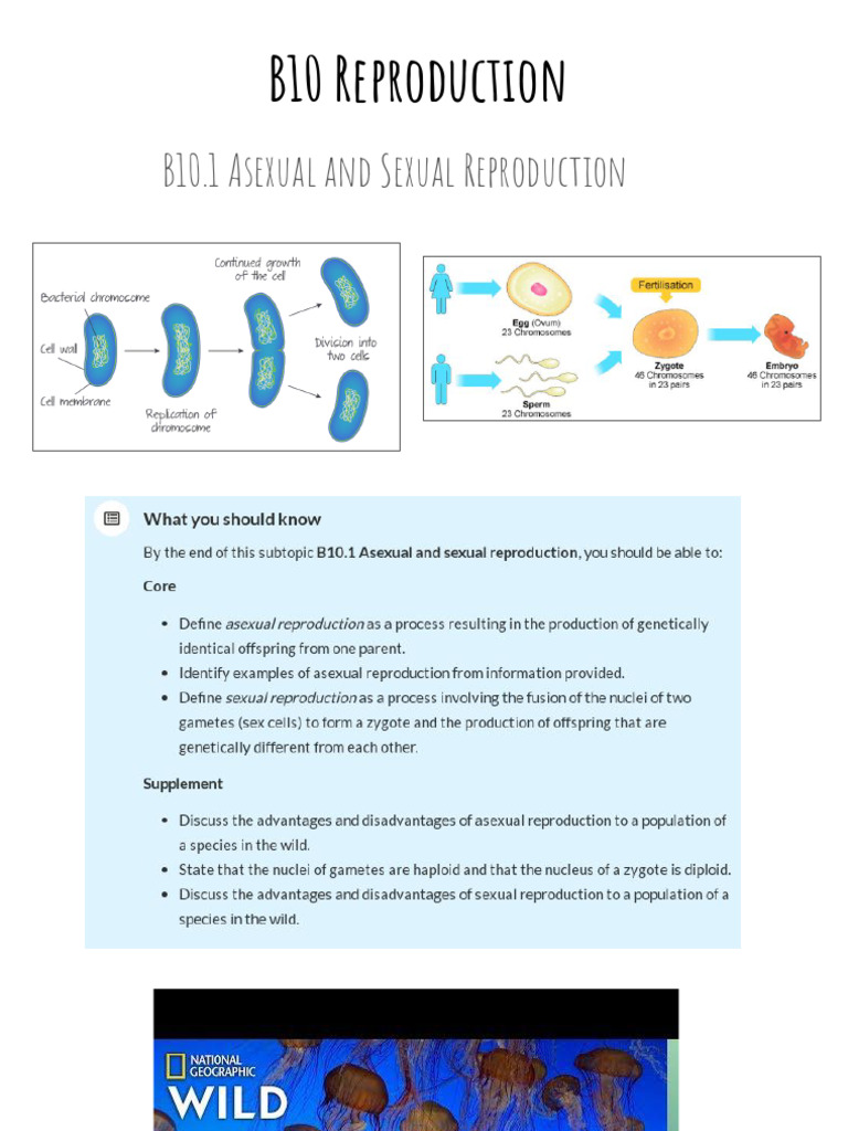 B10.1 Asexual & Sexual Reproduction | PDF