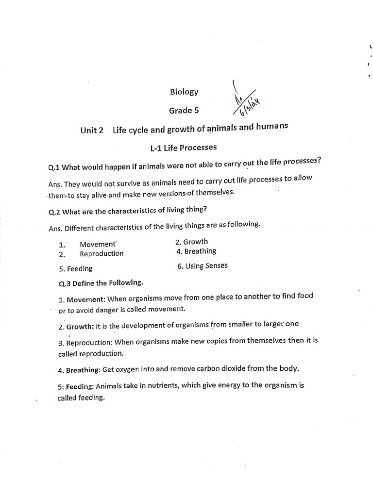 Grade 5 Biology Notes | PDF
