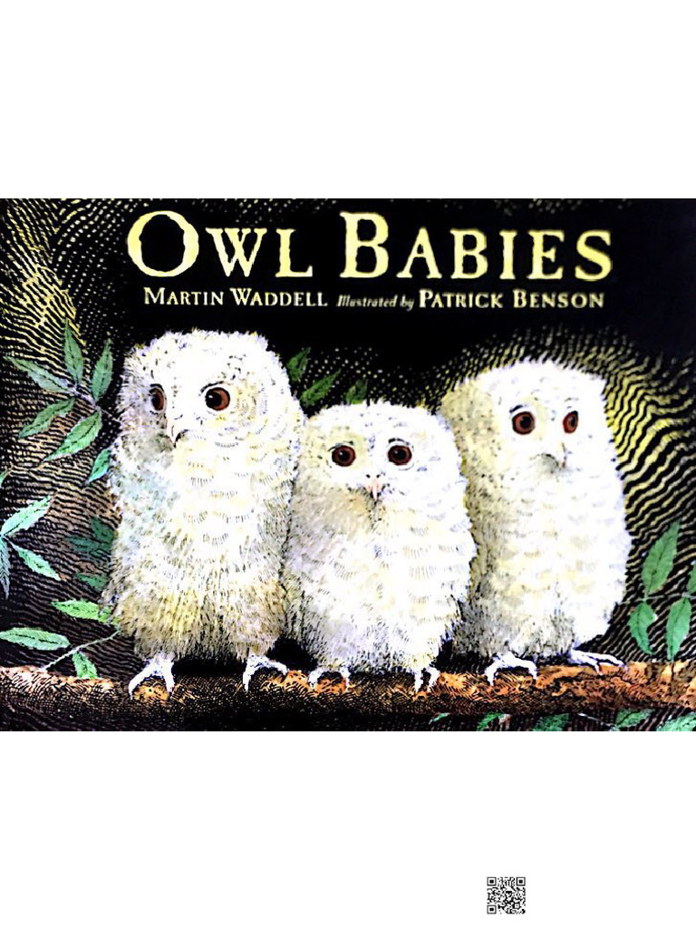 Owl Babies | PDF