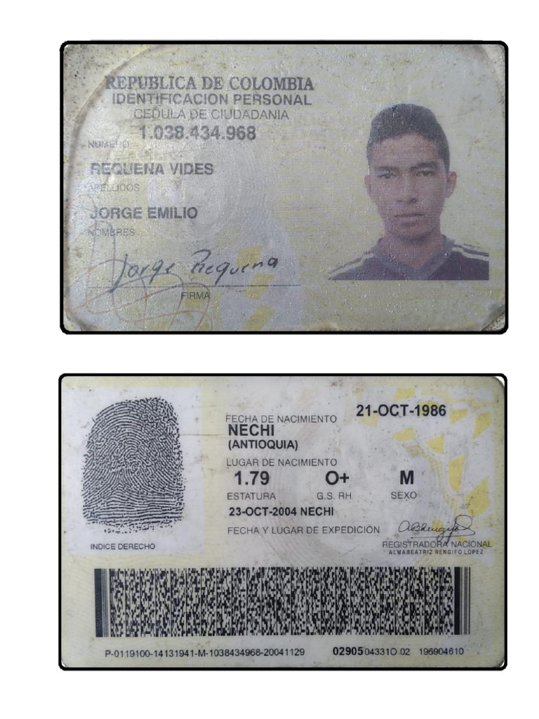 CEDULA JORGE REQUENA re | PDF