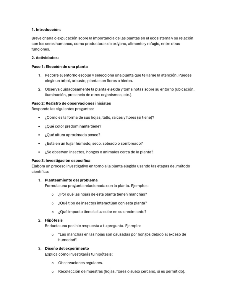 Actividad Plantas Final | PDF | Plantas | Observación