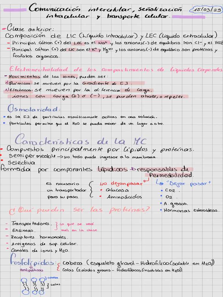 Clase2 230411 215258 | PDF