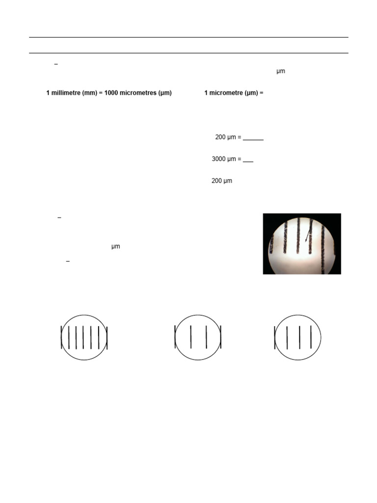 Microscope Math | PDF