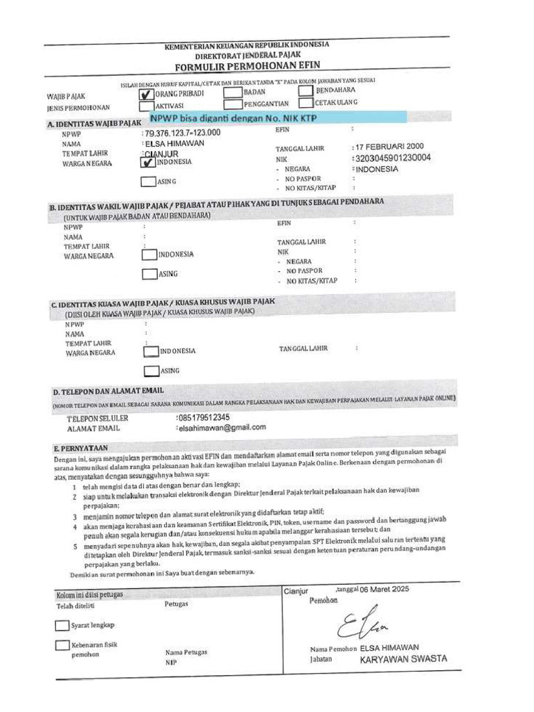 Contoh Pengisian Permohonan EFIN_compressed (1) | PDF