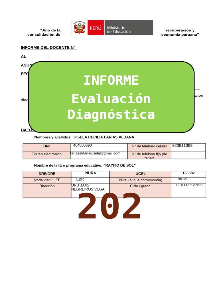 Informe de La Evaluacion Diagnostica Inicial 2025 | PDF | Evaluación | Cognición