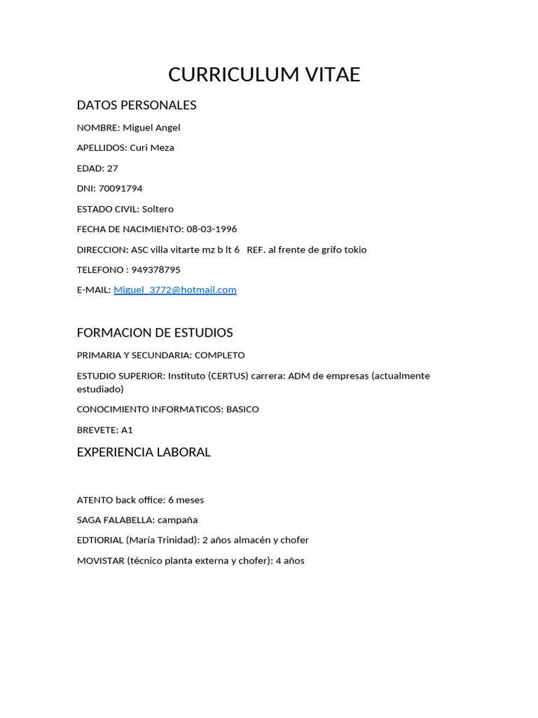 Currículum Vitae de Miguel Angel Curi | PDF
